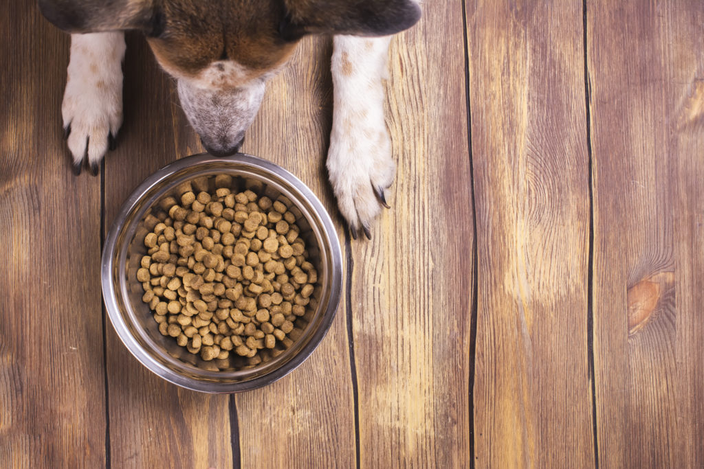 Case Study Improving Pet Food Producer Operating Efficiency case-study-improving-pet-food-producer-operating-efficiency